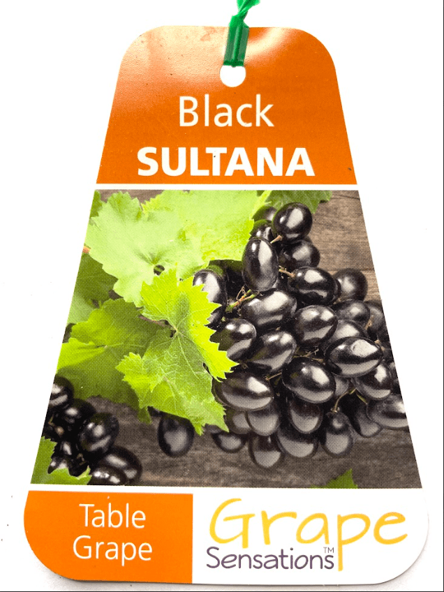 Kennaughs Garden Centre – Kennaughs Garden Centre