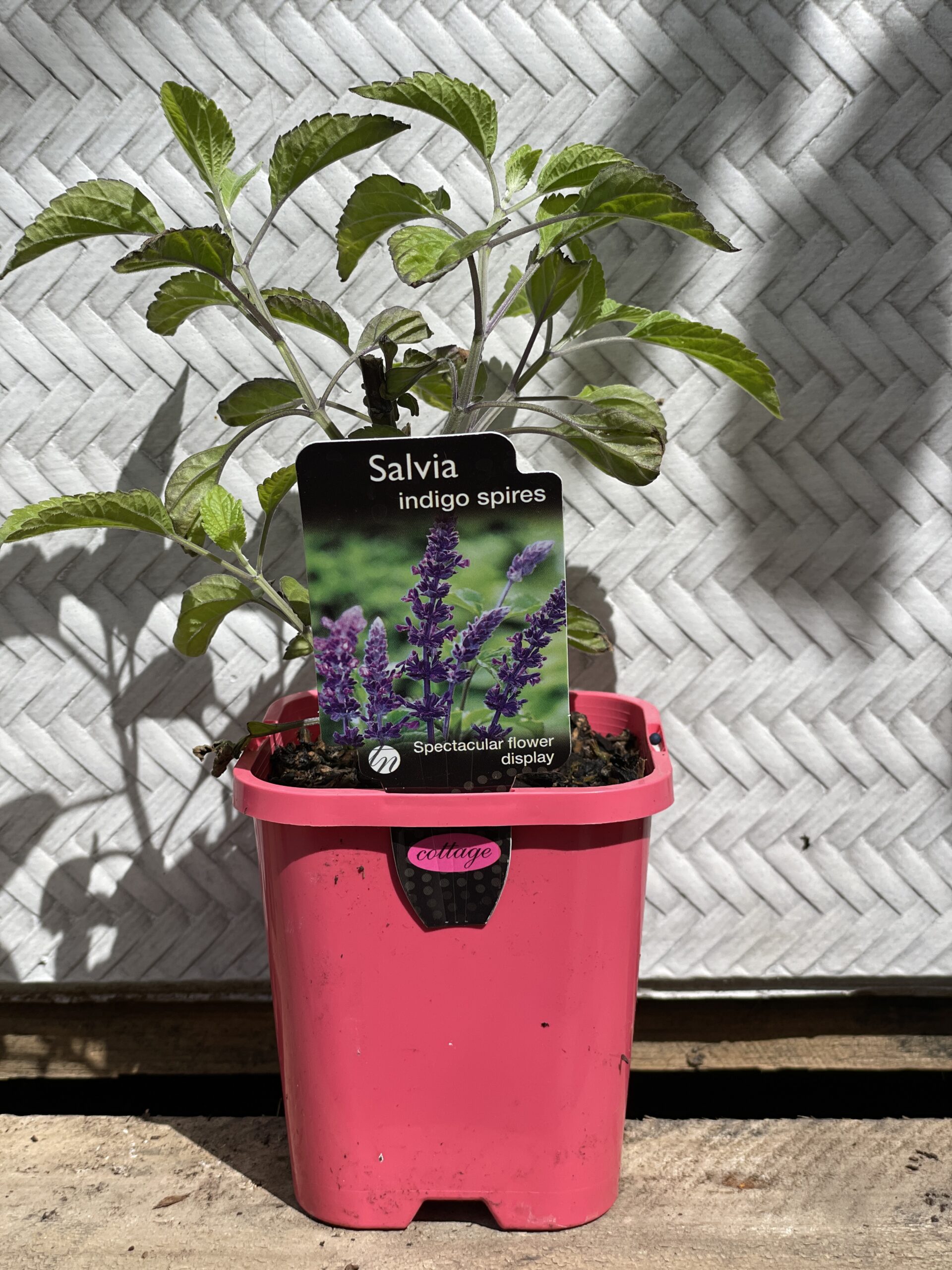 Kennaughs Garden Centre – Kennaughs Garden Centre